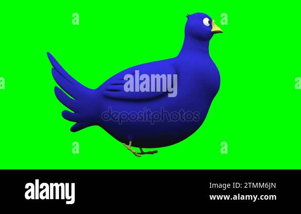 Walking blue bird in different views loop animation on green screen ...