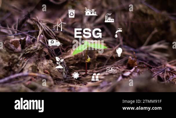 ESG environmental social governance investment business concept. ESG ...