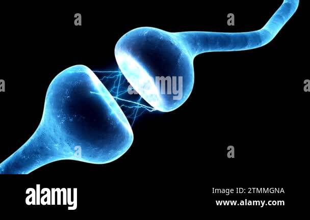 neuron synaptic transmission neural work system brain head human body science 3d background ...