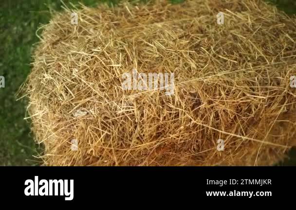 Straw string texture Stock Videos & Footage - HD and 4K Video Clips - Alamy