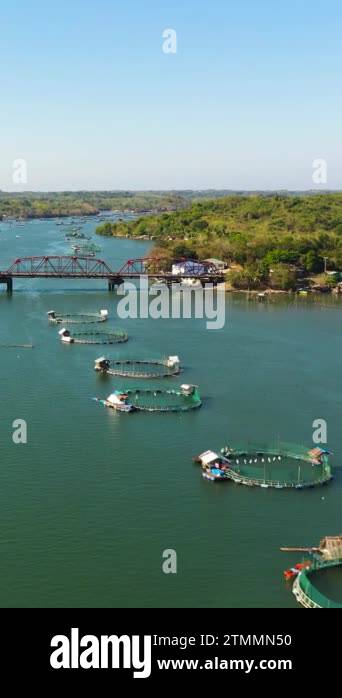 Fish farm with cages for fish and shrimp. Fish ponds for bangus ...