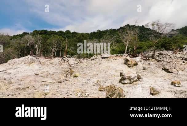 Volcanic landscape with withered trees after a volcanic eruption in the ...