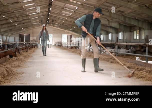 Man carrying broom Stock Videos & Footage - HD and 4K Video Clips - Alamy