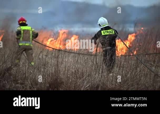 Natural disaster first responder Stock Videos & Footage - HD and 4K ...