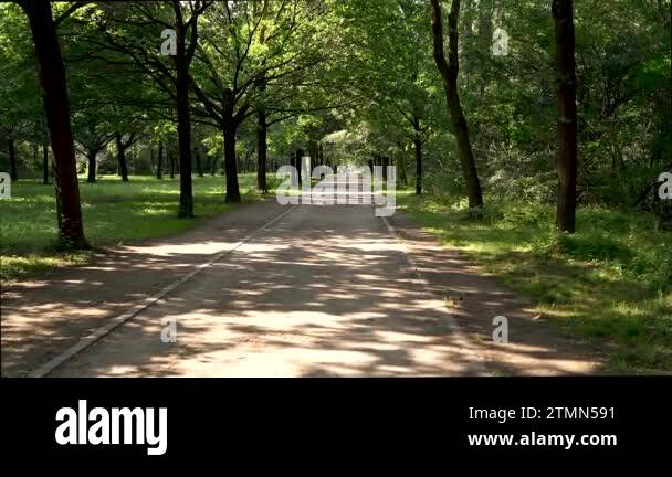 Shaded park pathways Stock Videos & Footage - HD and 4K Video Clips - Alamy