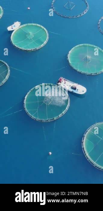 Fish farm floating net pools aerial view sea water surface coast ...