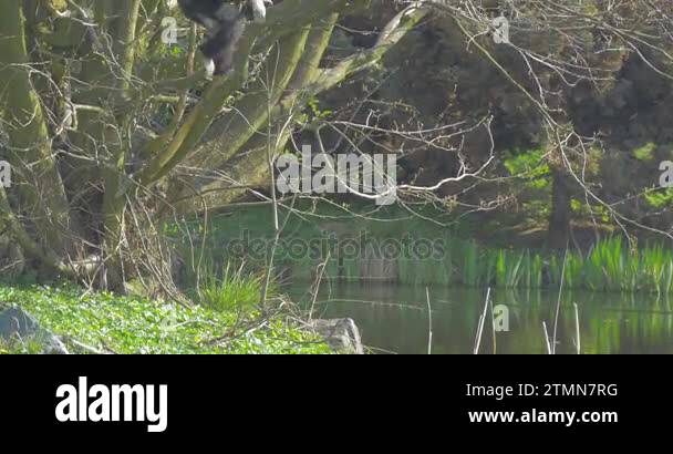 Jocko river Stock Videos & Footage - HD and 4K Video Clips - Alamy