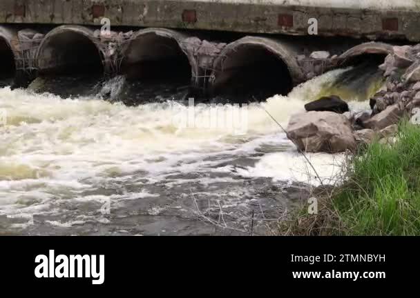 A concrete pipe that carries smelly, polluted sewage into the river ...