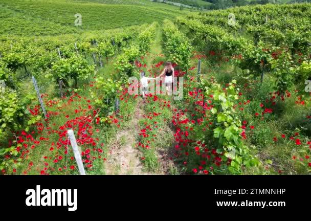 Mother and son boy child walk through the vines of the vineyard view ...