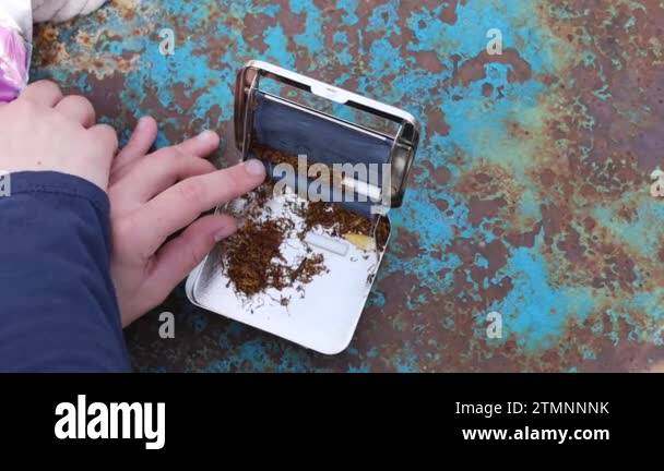 close-up a girl puts tobacco in paper with her own hands to make a ...