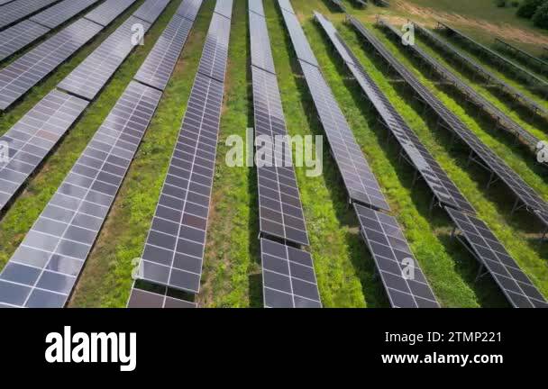 Amidst a lush meadow and forest, solar panels stand tall, harnessing ...