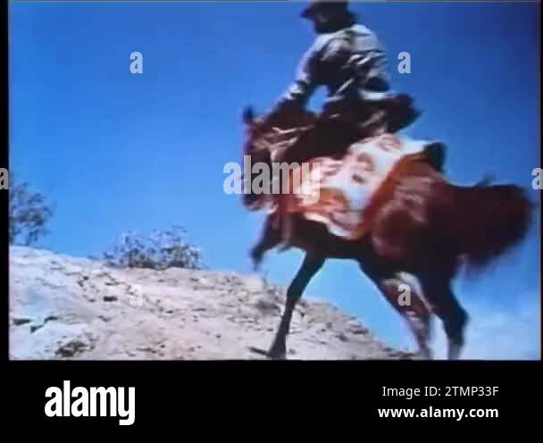 Indian ambush Stock Videos & Footage - HD and 4K Video Clips - Alamy