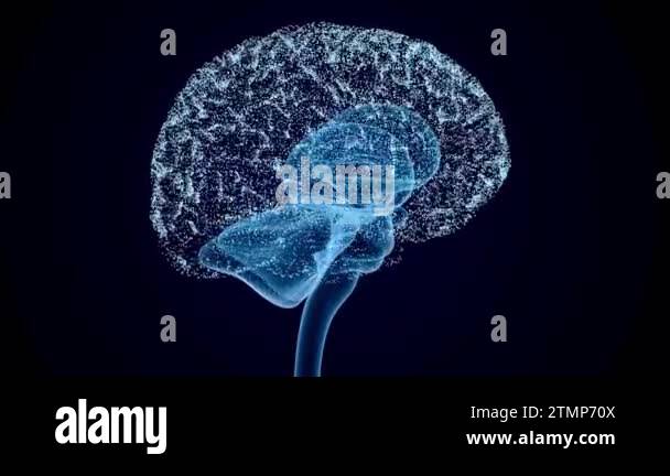 3d Animation the nervous system brain sphere seamless loop black ...