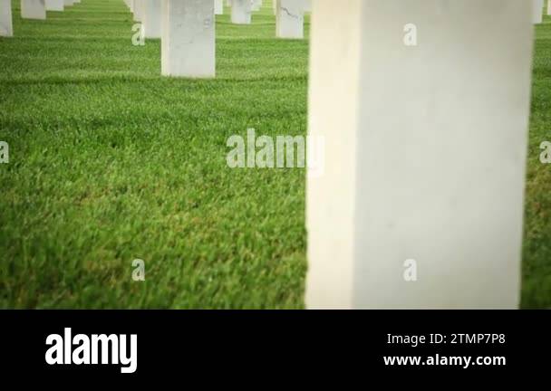 burying ground resting place land with green grass war cemetery grave with white tombstone Stock ...