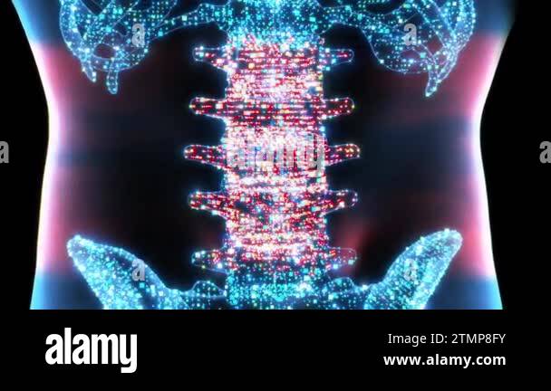 3d animation human body Man Suffering From Lower Back Pain healthcare ...