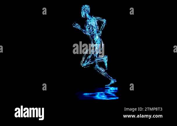 skeleton system of running man, bone Anatomy while run, human physical ...