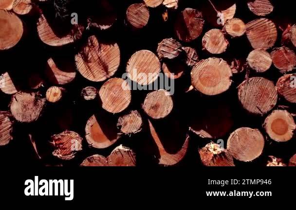 Forestry lumber storage Stock Videos & Footage - HD and 4K Video Clips ...
