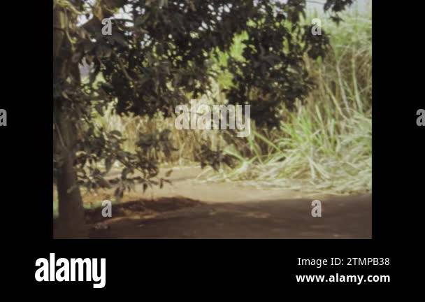 Rio de Janeiro, Brasil may 1976: Immerse yourself in the authentic ...