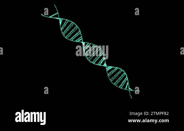 Human DNA genome double helix spiral particle animation RNA molecule ...
