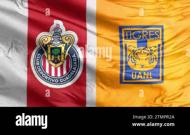Chivas vs tigres Stock Videos & Footage - HD and 4K Video Clips - Alamy