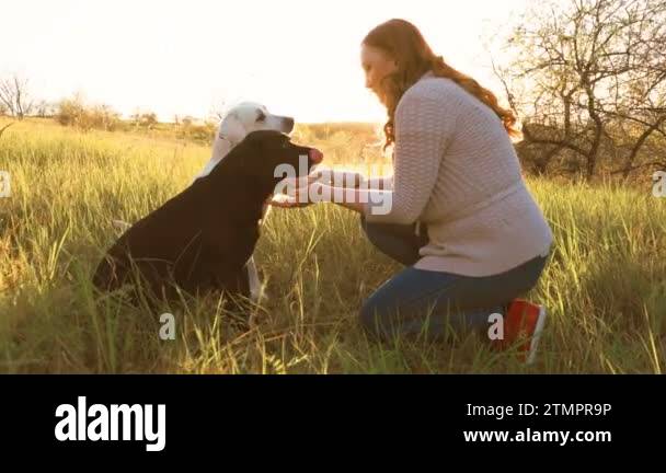 Sheer joy Stock Videos & Footage - HD and 4K Video Clips - Alamy