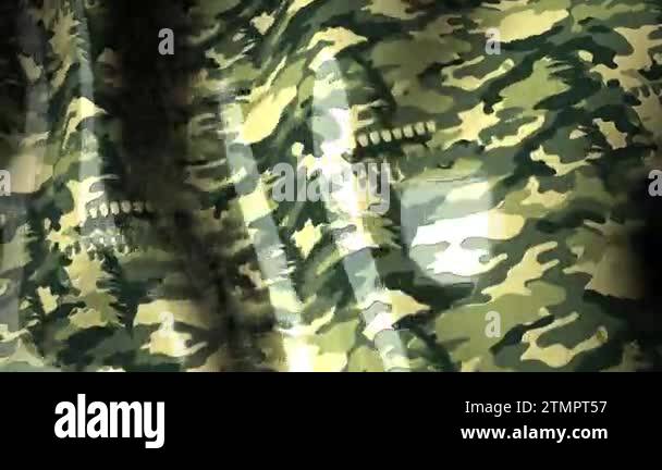 Camouflage pattern design Stock Videos & Footage - HD and 4K Video ...
