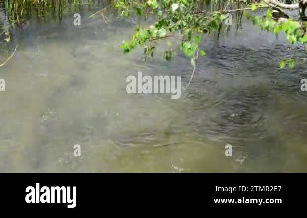 Carbonic acid. Laach Lake (Laacher See),a typical caldera lake in ...