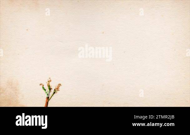 Vintage Flower Reveal With Blank Space/ 4k animation of a retro vintage ...