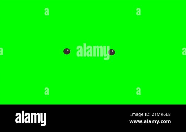 Cartoon simple blinking eyes on green screen insert, chroma key green ...