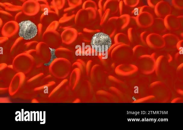 Computer generated cell Stock Videos & Footage - HD and 4K Video Clips ...