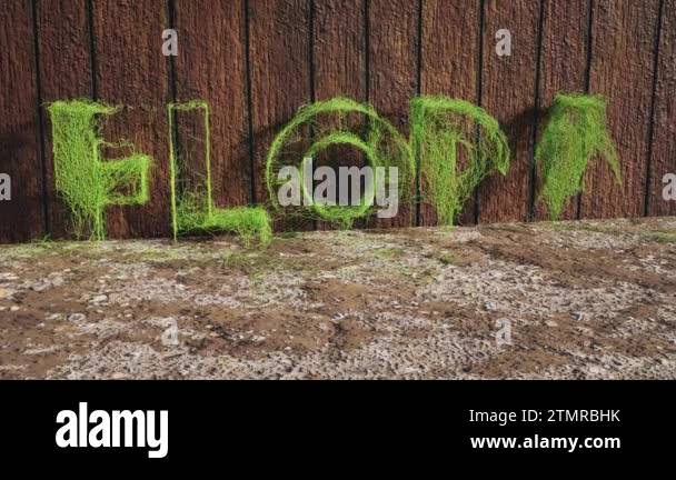 Board flora Stock Videos & Footage - HD and 4K Video Clips - Alamy