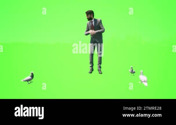 company manager feeding birds and animals in a suit, realistic 3D ...