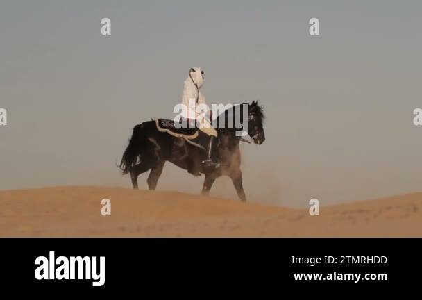 Arabian horse rider Stock Videos & Footage - HD and 4K Video Clips - Alamy