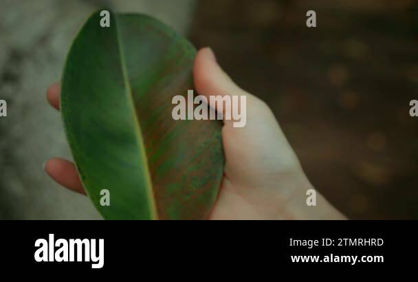 Tactile feel Stock Videos & Footage - HD and 4K Video Clips - Alamy