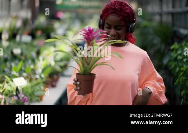 Dancing flower pot Stock Videos & Footage - HD and 4K Video Clips - Alamy