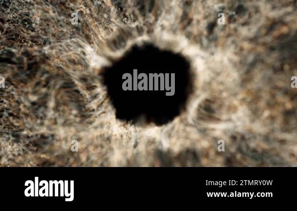 Frozen explosion Stock Videos & Footage - HD and 4K Video Clips - Alamy