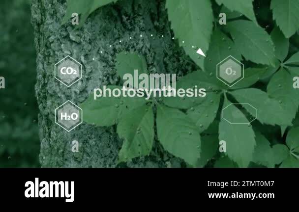 Produce symbols Stock Videos & Footage - HD and 4K Video Clips - Alamy