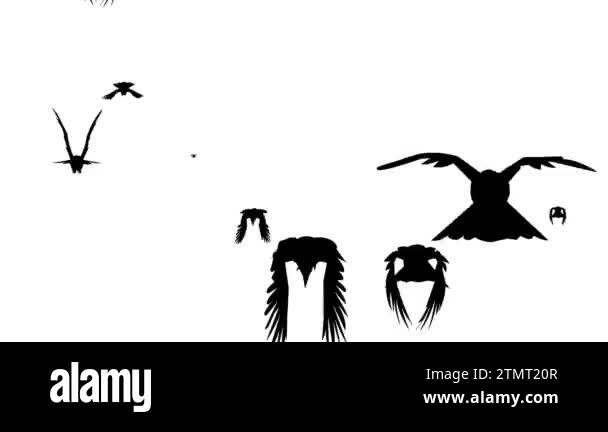 Birds flying silhouette on white background 2d cartoon animation ...