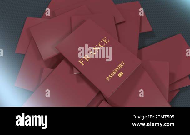 France passport Stock Videos & Footage - HD and 4K Video Clips - Alamy