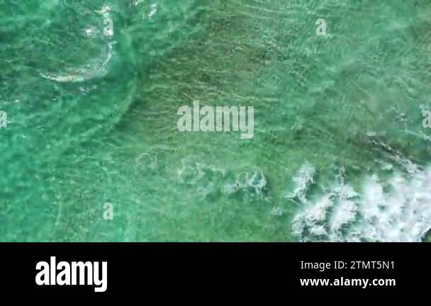 Punta Prosciutto azure sea water, crystal clear water on beach Punta ...