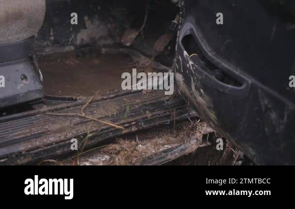 Car grass inside Stock Videos & Footage - HD and 4K Video Clips - Alamy