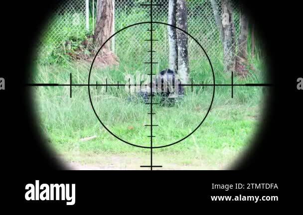 Special police was being assassinated and shot dead through the lens of ...