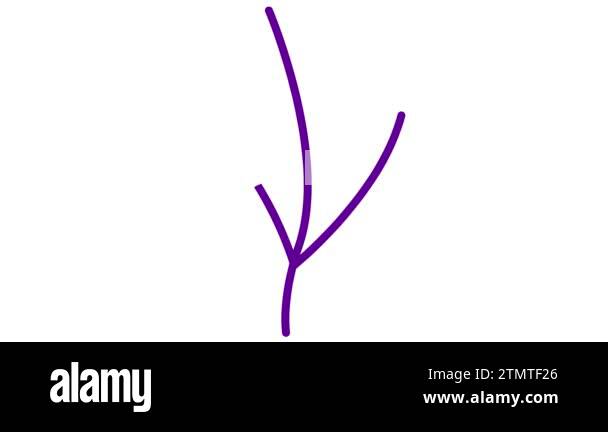 Animated linear violet plant with leaves. Icon of tree sprout. Symbol ...
