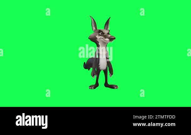 3D cartoon animation of a wolf on a green screen wondering and being ...