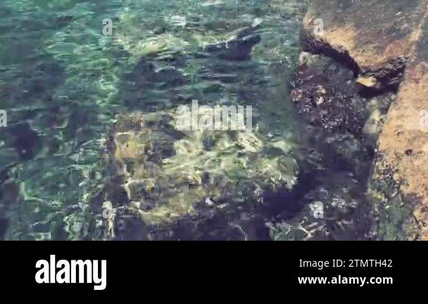 Green azure turquoise blue transparent sea salt water texture. Retro ...
