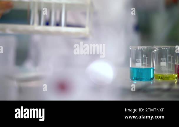 Lab worker put test tubes rack on laboratory table. Laboratory ...