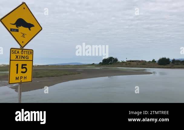 Otter sign Stock Videos & Footage - HD and 4K Video Clips - Alamy