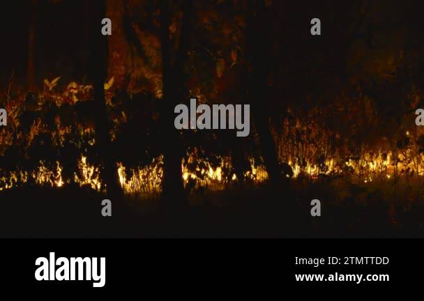 wildfire disaster in california dangerous and devastating forest fire ...