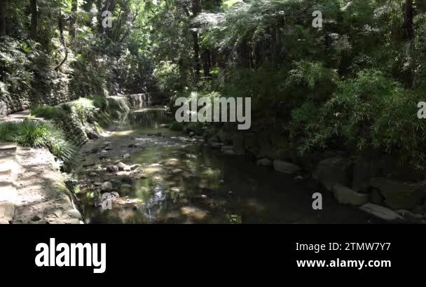 A small valley near the river in Todoroki Tokyo wide shot. High quality ...