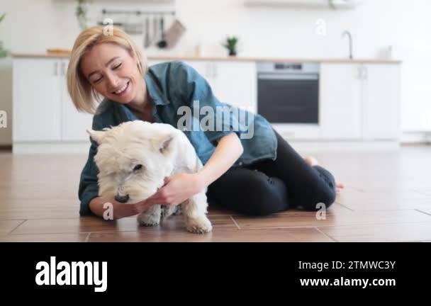 Loyal west Stock Videos & Footage - HD and 4K Video Clips - Alamy